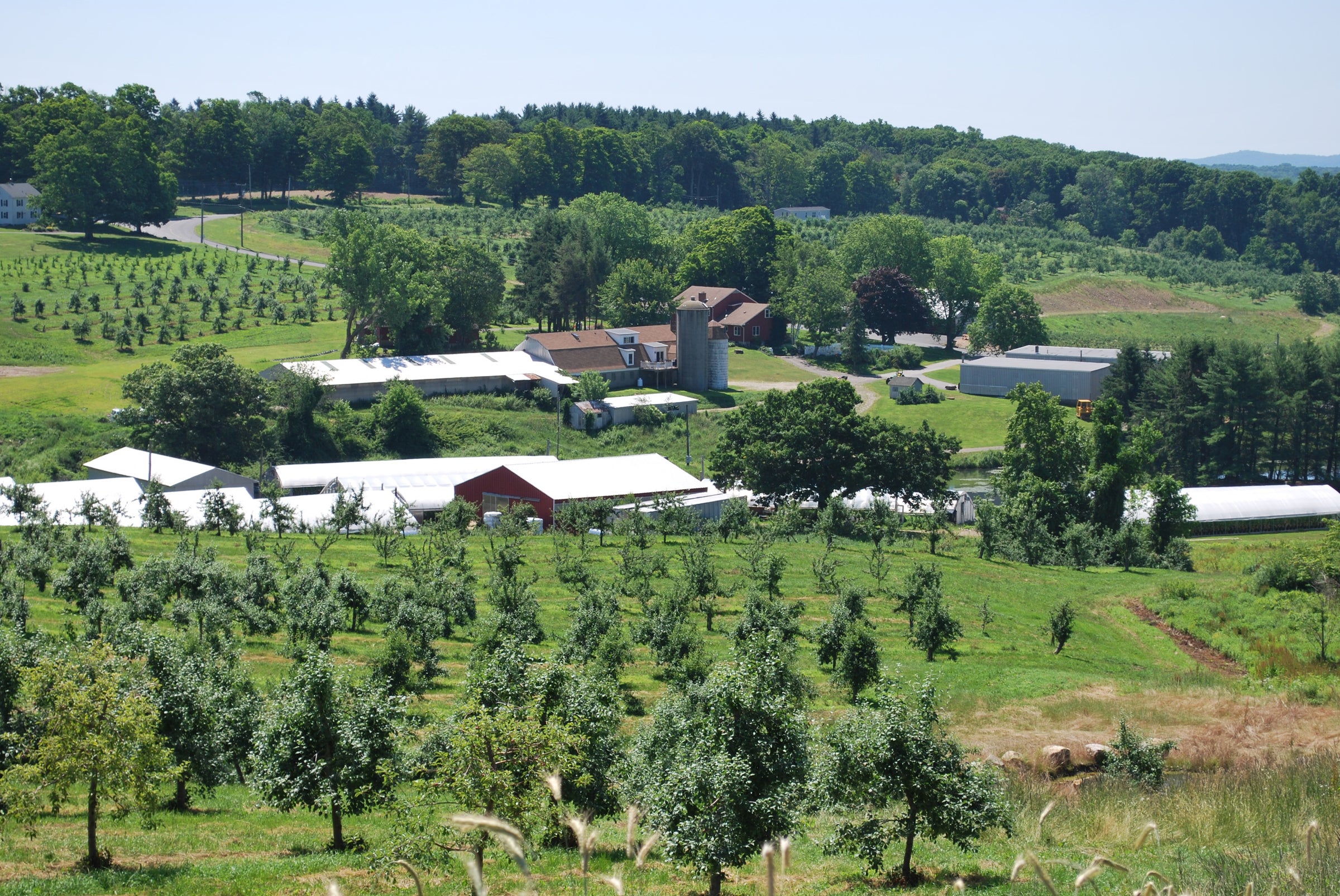 Community supported agriculture